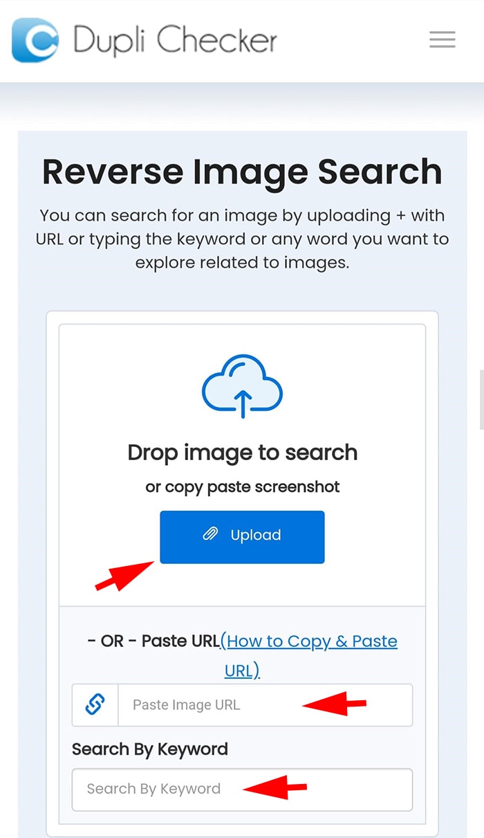 چگونه عکس را سرچ کنیم؟ – 6 ابزار برای جستجوی تصویر در اینترنت – آکادمی کاپریلا